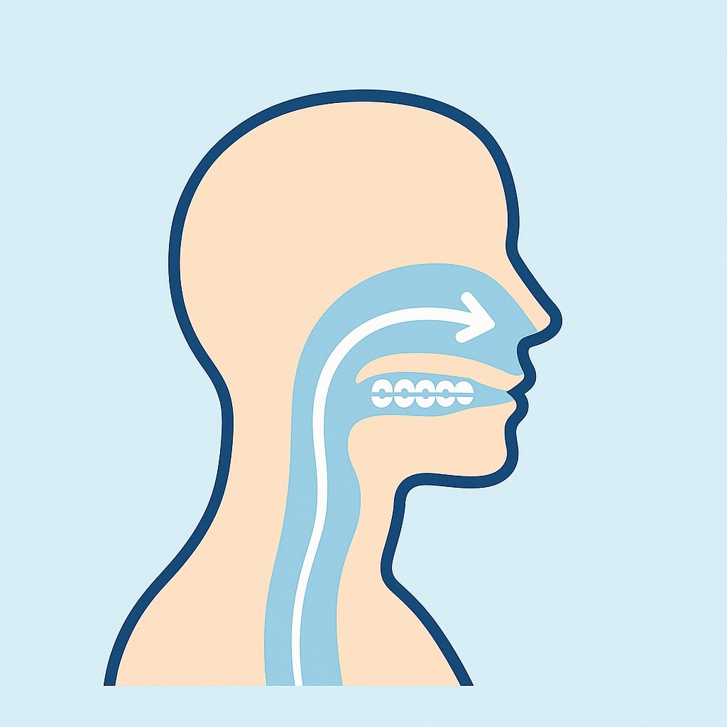 Airway-Focused Orthodontics | Dr. Jack Ringer, CA Dentist